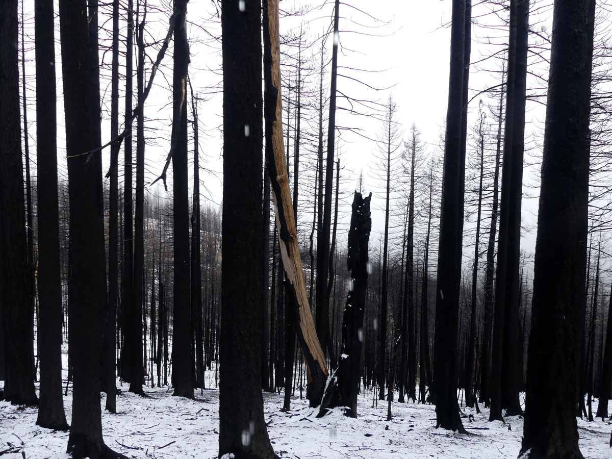 Berryessa Snow Mountain National Monument after the wildfires ...